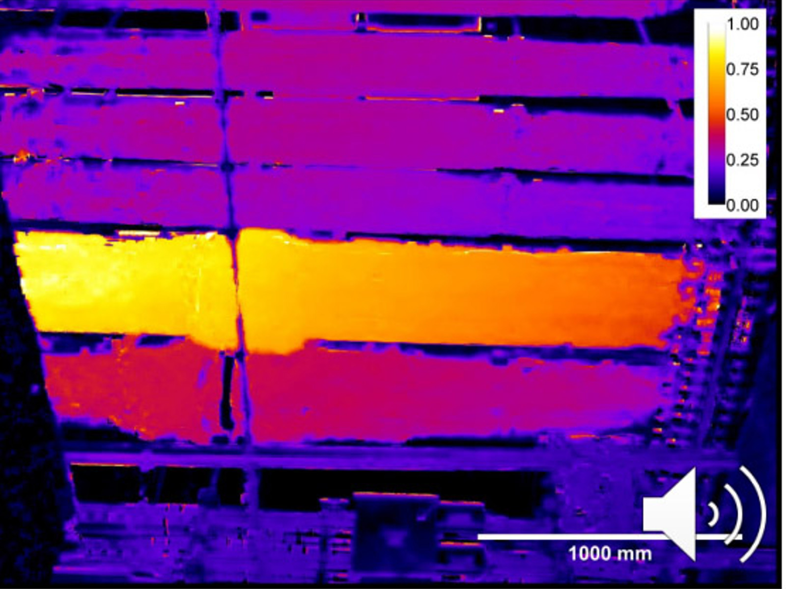 BSSM's 60th Anniversary Showcase “Past to Present and Future Challenges ...